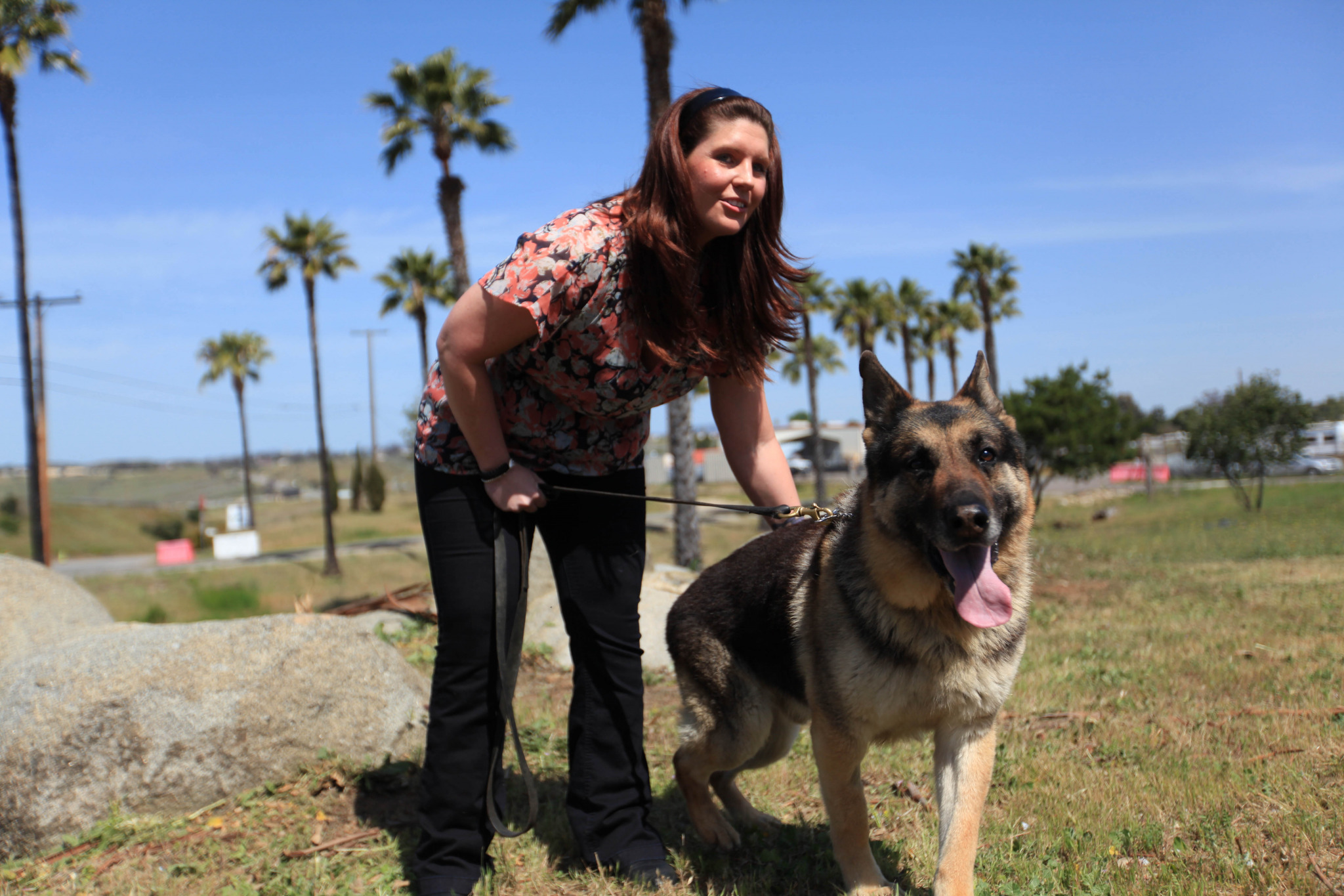 Sergente Rex, come è morto il cane protagonista del film ...